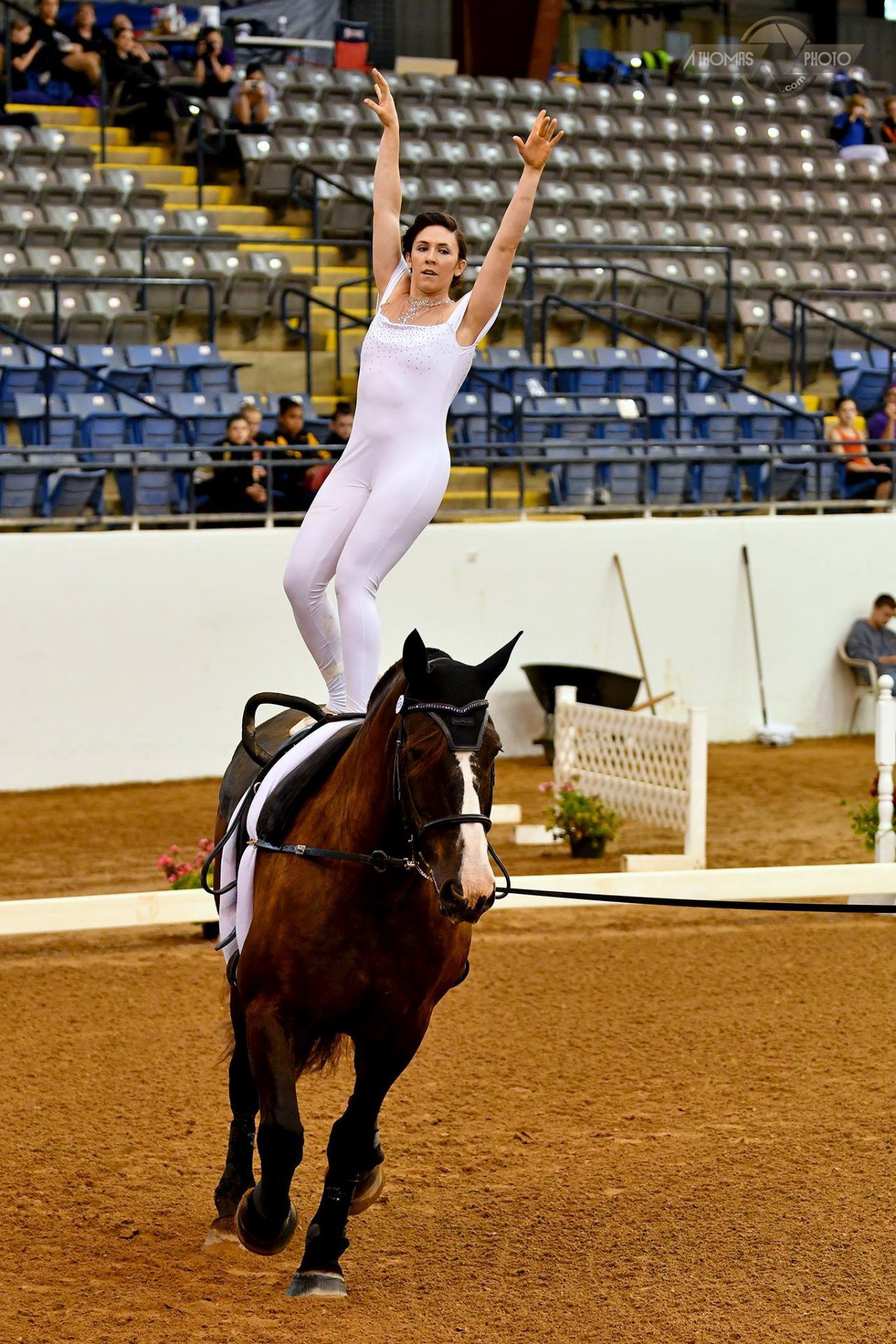 About OC Vaulting - OC Vaulting